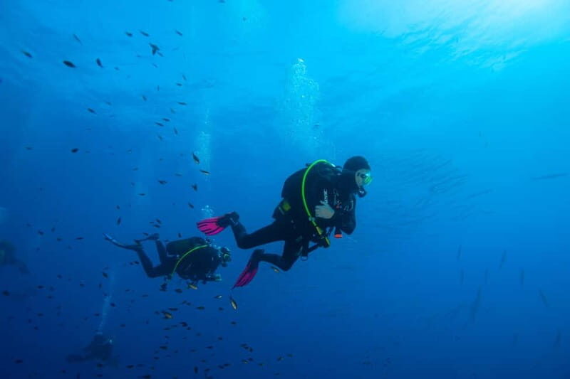 MARINA DI CAMPO: DIVING ON THE ISLAND OF ELBA AND PIANOSA - Exploring the Itinerary