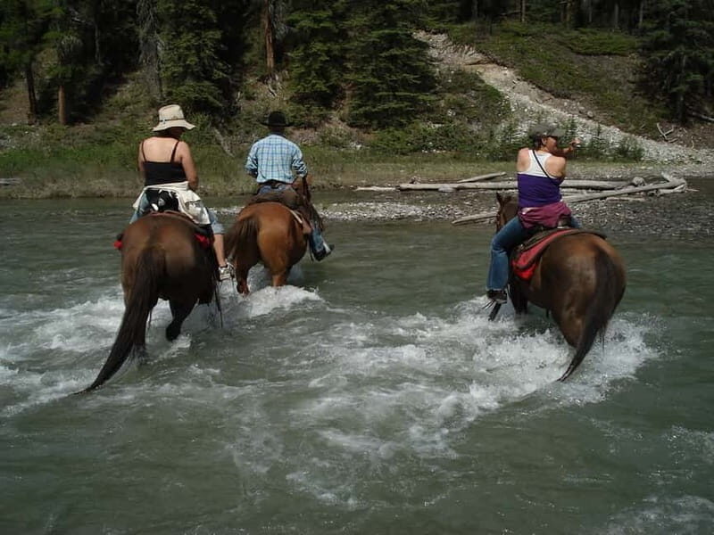Marmaris: Horse Riding Experience with Transfer - Authentic Experiences and Authenticity