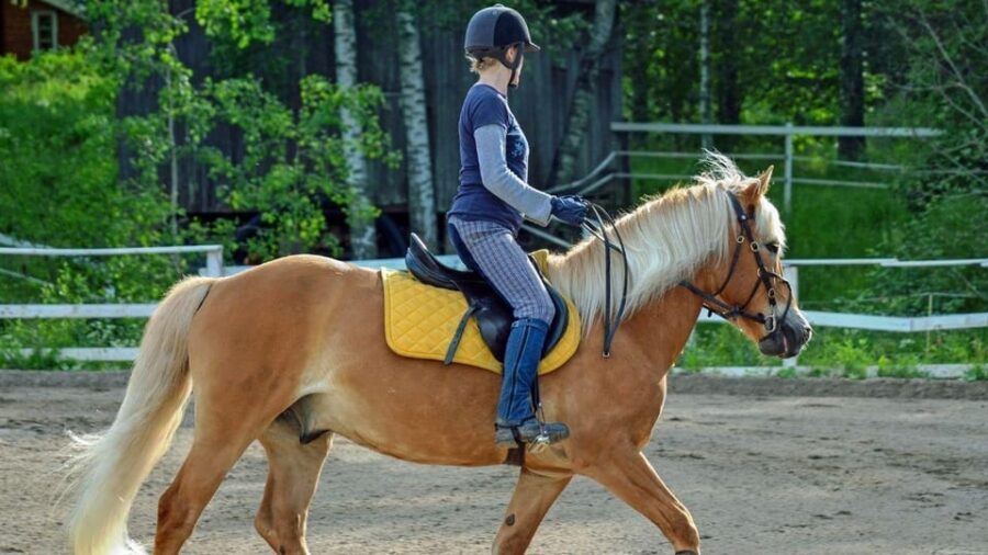 Marmaris Horse Safari - The Itinerary in Detail