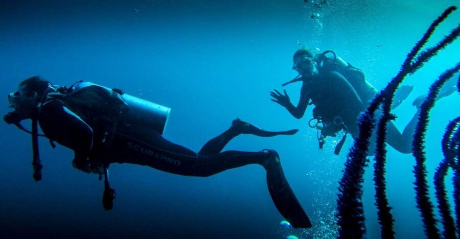 Marmaris: Scuba Diving Experience with 2 Dives and Lunch - What’s Included and What’s Not
