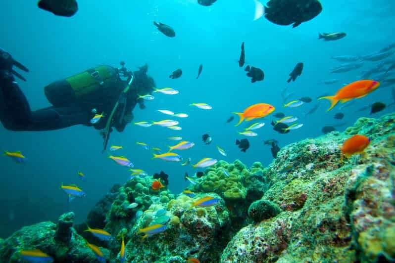Marmaris: Scuba Diving with a Qualified Instructor - Itinerary Breakdown
