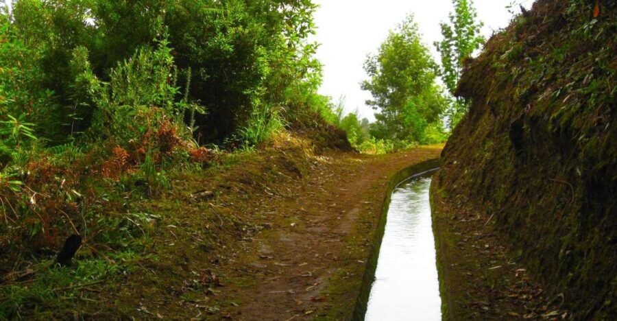 Maroços / Mimosa Valley - Levada Walk - The Value of the Experience