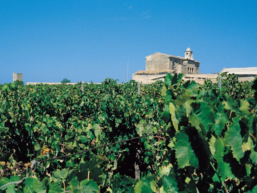 Marsala: Winery Tour with Wine Tasting and Local Products - An In-Depth Look at the Marsala Winery Tour
