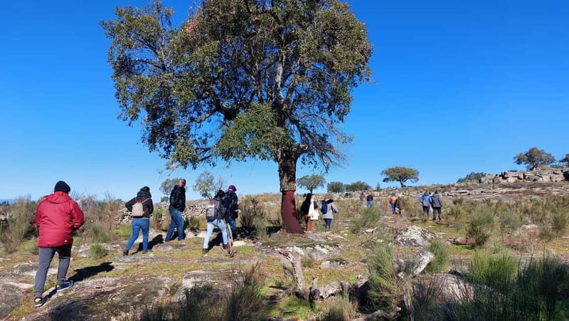 Marvão: Megalithic Monuments Private Tour with Hotel Pickup - Authenticity and Insights from Past Travelers