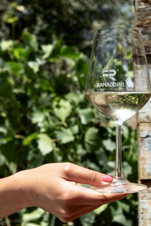 Marzamemi: Val di Noto Wine Tour, Wine Tasting & Aperitif - An In-Depth Look at the Experience
