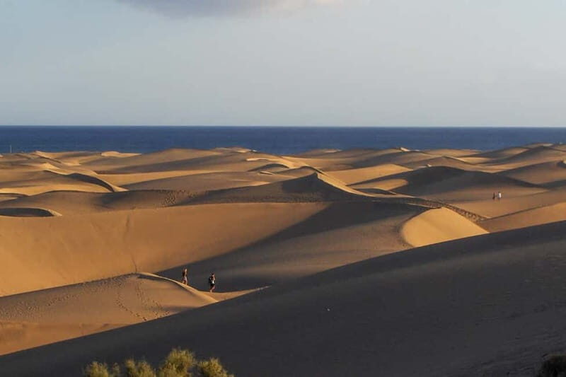 Maspalomas: 1 Hour Segway Sightseeing Tour - A Detailed Look at the Experience