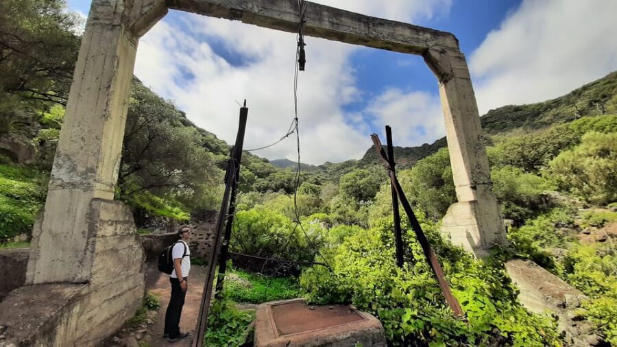 Maspalomas: Barranco de los Cernicalos Rainforest Hike - The Value of the Experience