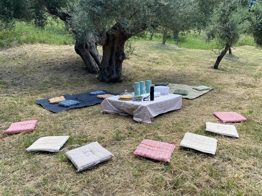 Matera: Pic-Nic under the Centuries-Old Olive Trees - The Scenic Setting and Views