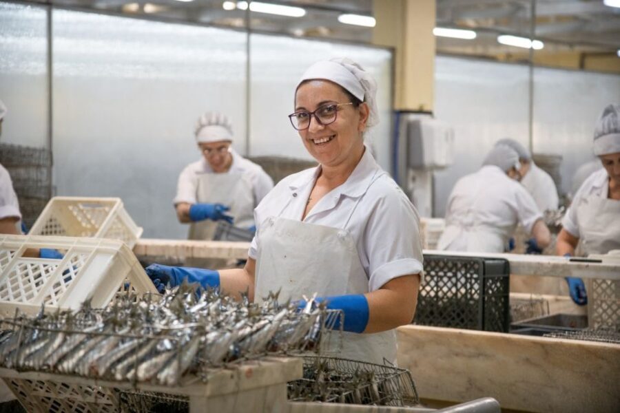 Matosinhos: Conservas Pinhais Factory Tour - The Value of This Experience