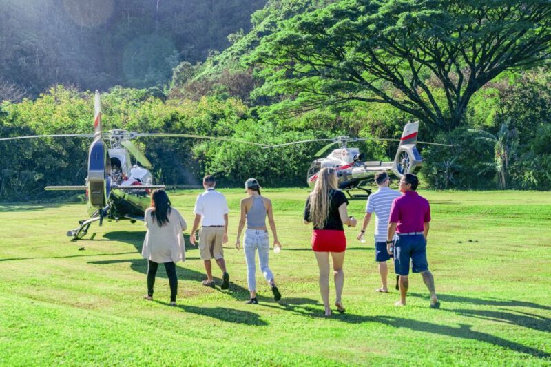 Maui: Road to Hana Helicopter & Waterfall Tour with Landing - Maui: Road to Hana Helicopter & Waterfall Tour with Landing — An Authentic Aerial Adventure