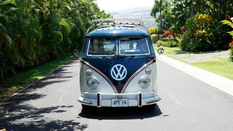 Maui: South Maui VW Bus Tour with Brewery Lunch - Who This Tour Suits Best