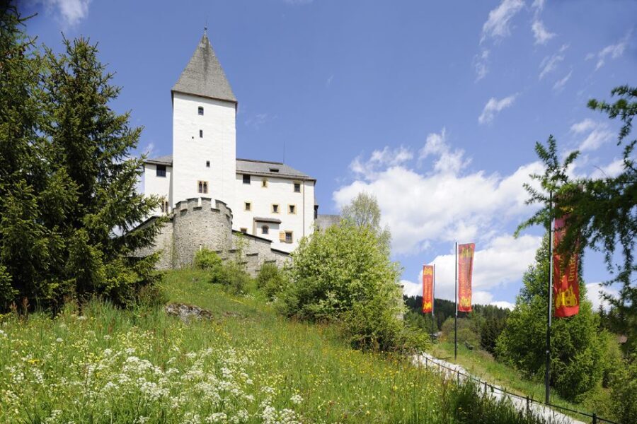 Mauterndorf: Castle Entrance Ticket - What to Expect During Your Visit
