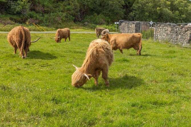 Meandering Through The Highlands of Scotland (West) - Meandering Through The Highlands of Scotland (West) – A Detailed Review