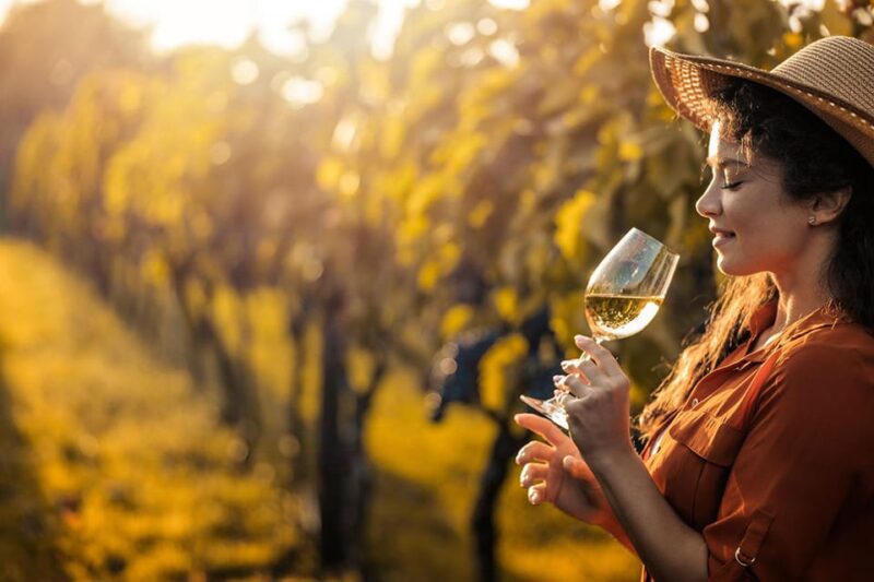 Medoc and Libournais (Left and right bank) - Key Points