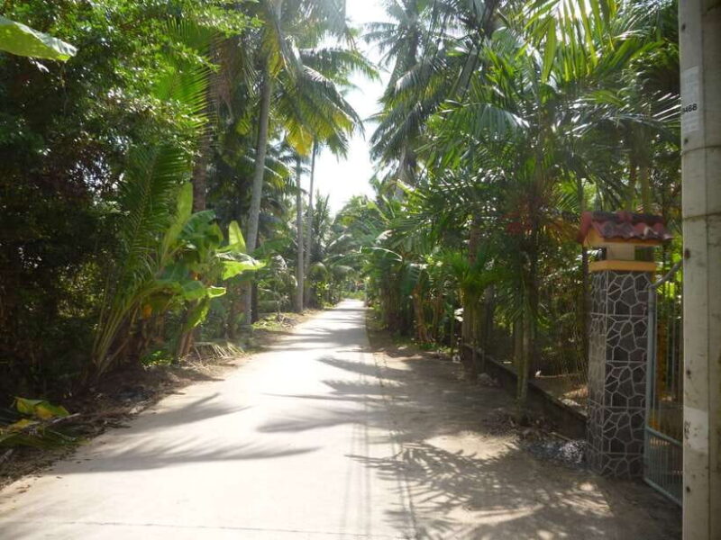 Mekong Day Tour by Car:Cai Be market, Local Island & Cycling - Key Points