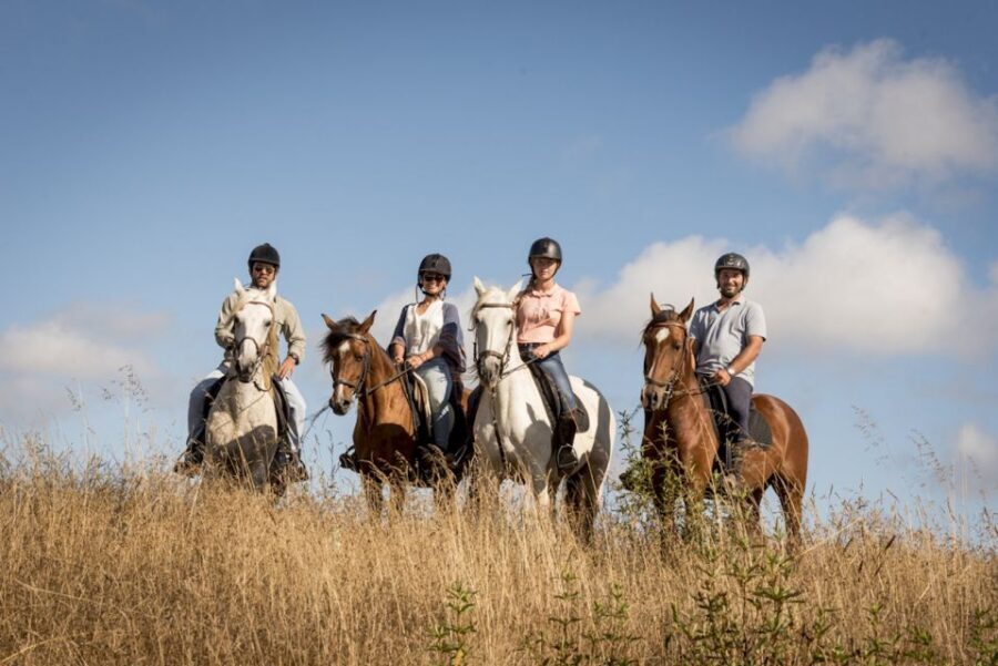 Melides: Horse Riding on the Beach with Wine Tasting - Adding Regional Flavors: Wine Tasting or BBQ