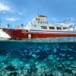 Menorca: Full-Day Boat Tour with Paella Lunch - What Travelers Love and What to Keep in Mind
