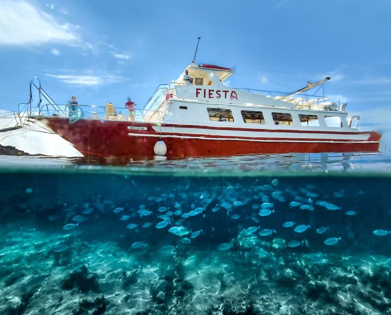 Menorca: Full-Day Boat Tour with Paella Lunch - What Travelers Love and What to Keep in Mind