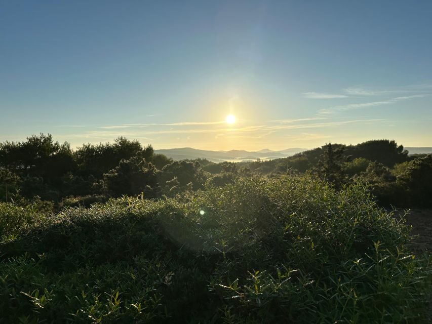 Menorca wakes up: Breakfast at sunrise - Why Choose This Tour?