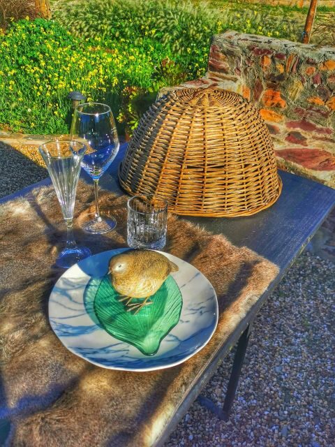 Mértola's Stunning Countryside Picnic - Final Thoughts: Is This the Right Choice for You?