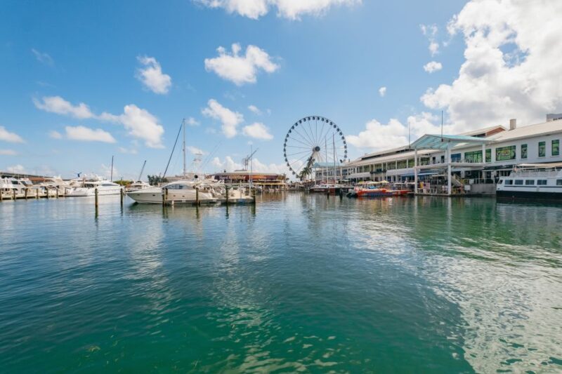 Miami: Panoramic Open-Top Bus Tour & Biscayne Bay Cruise - Key Points