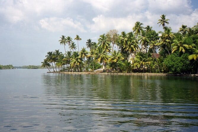 Midday Cruise with Village Life - An In-Depth Look at the Midday Cruise Experience