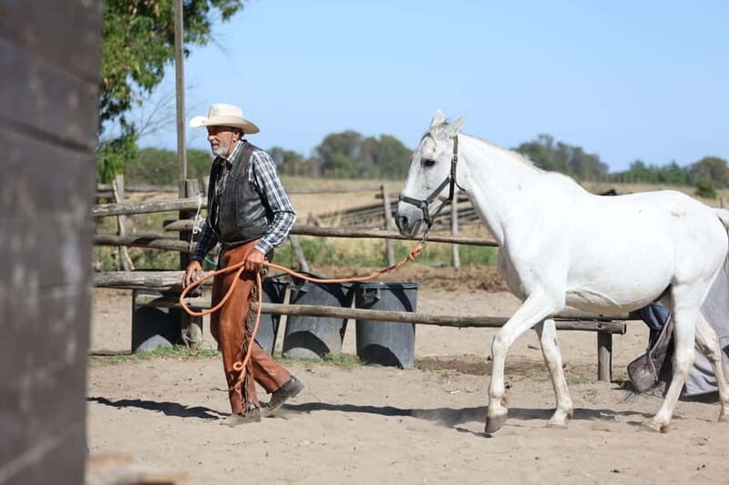 Middle day out of Rome: horsback riding adventure with meals - A Well-Balanced Day of Horseback Riding and Mountain Magic