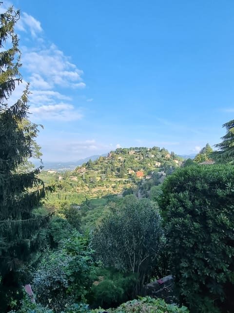Milan: Bergamo High Town and Wine Tasting Tour - Free Time and Local Flavor