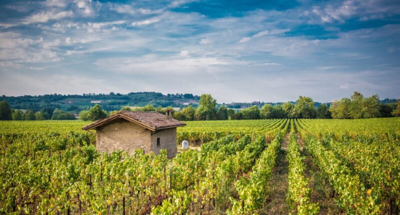 Milan: Franciacorta Winery and Bergamo Day Trip with Lunch - Key Points