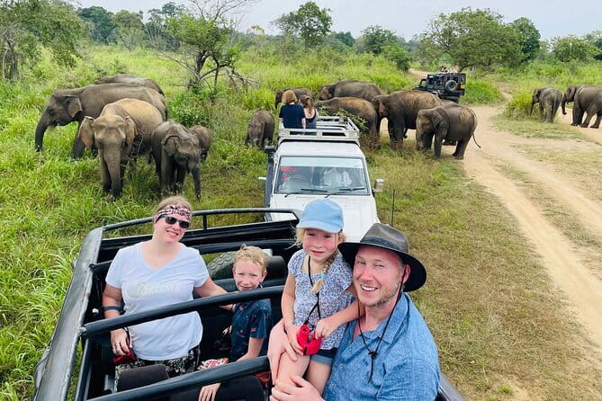 Minneriya National Park Half day Jeep Safari with Hotel Pickup - Key Points