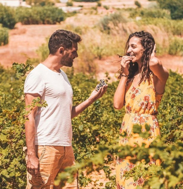 Minoan Luxuries: Ancient Palaces, Messara Wineries & Matala - Exploring the Itinerary in Detail