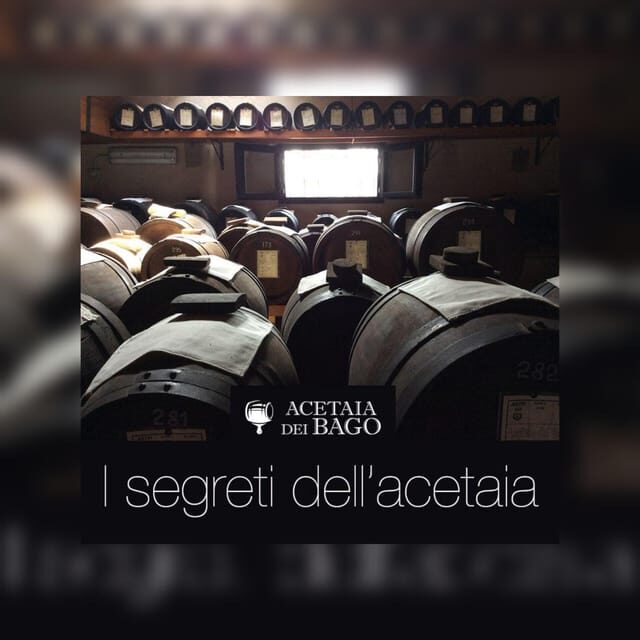 Modena:Tour&Taste of Bio & Traditional Balsamic Vinegar DOP - Who Will Love This Tour?