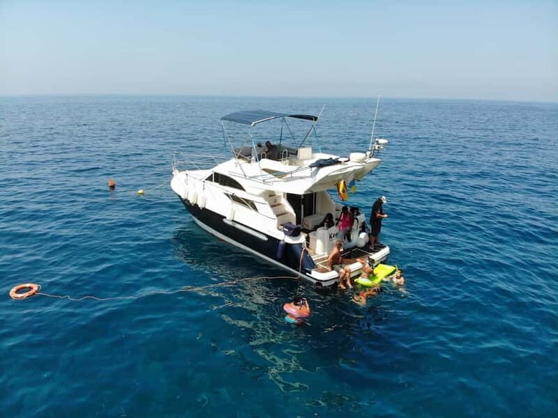 Mogan: Dolphin Watching Boat Trip with Swim Stop - Scenery and Coastal Highlights