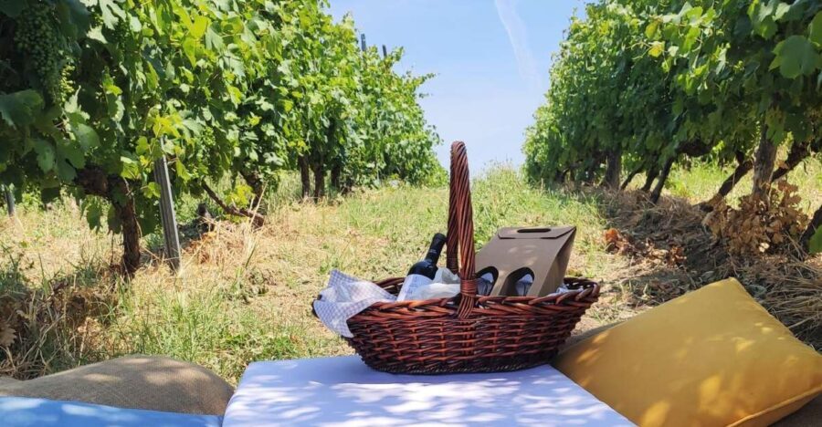 Monferrato: Garetto Wine Estate Tour and Picnic Private - What Makes This Tour Stand Out?
