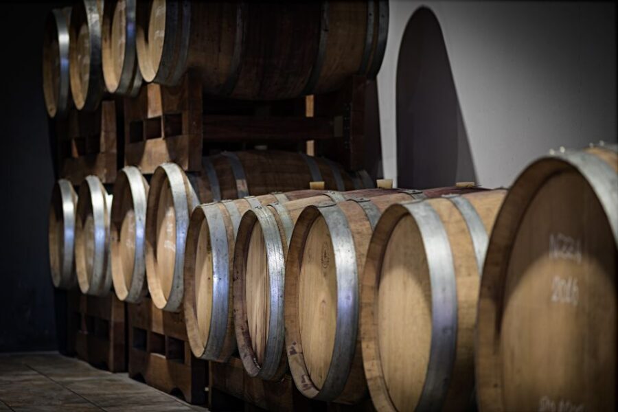 Monferrato: Wine Tour & Picnic in the Vineyards - A Detailed Look at the Monferrato Wine Tour & Picnic Experience