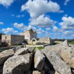 Monopoli: E-Bike Ride to Olive Valley with Seafood Snack - The Practicalities: What to Expect