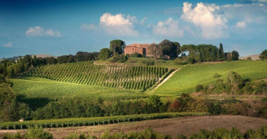 Montalcino: Brunello Wine Tasting Experience - What to Expect: The Details