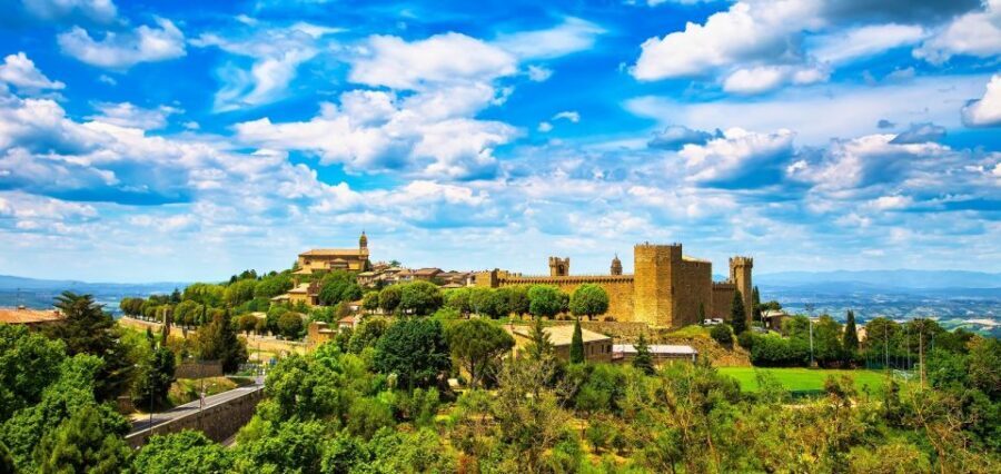Montalcino: Castle and Vineyards Tour with Tasting - Why This Tour Works