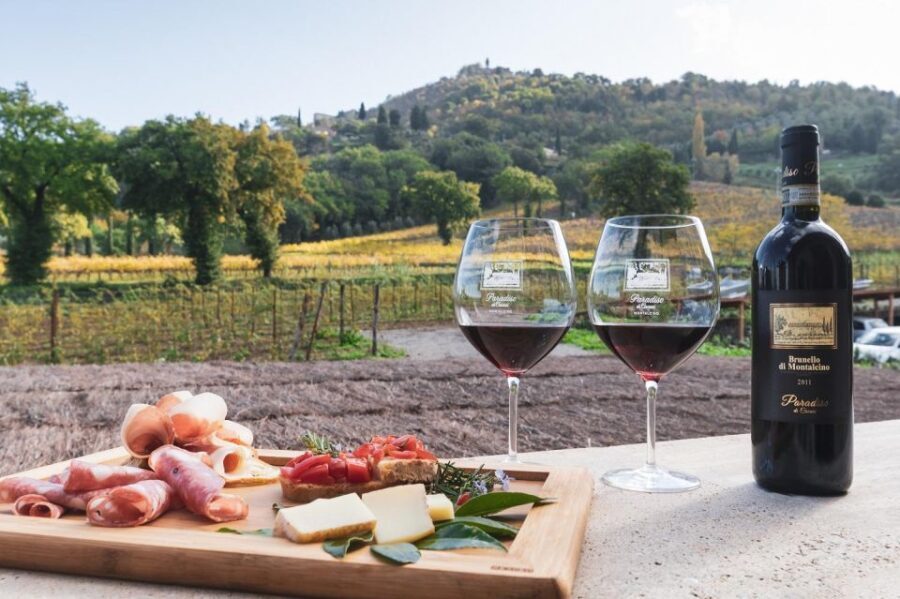 Montalcino: Premium Wine Tasting with light-lunch and Tour - What’s Included and Why It Matters