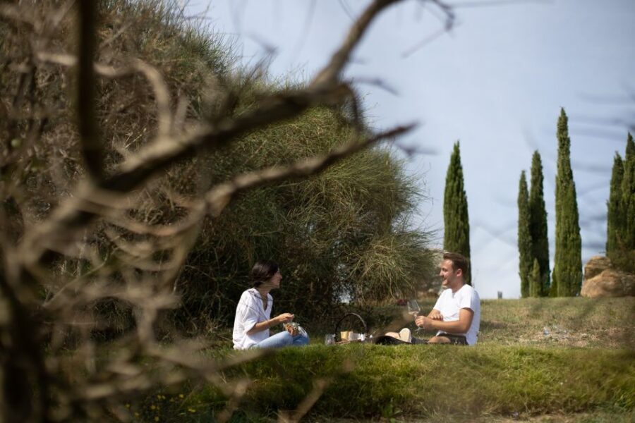 Montalcino: Vineyard Picnic with a Bottle of Wine - The Experience: A Deeper Dive