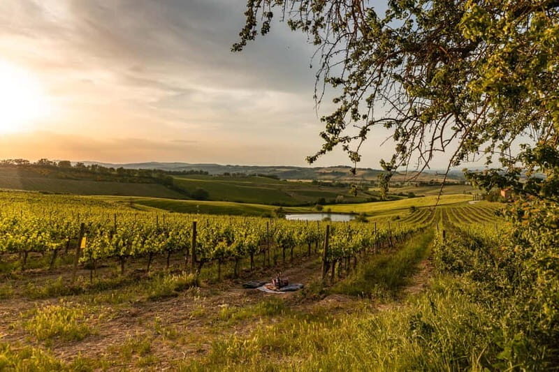 Montalcino: Wine Tasting and Tuscan Lunch - Who Should Consider This Tour?