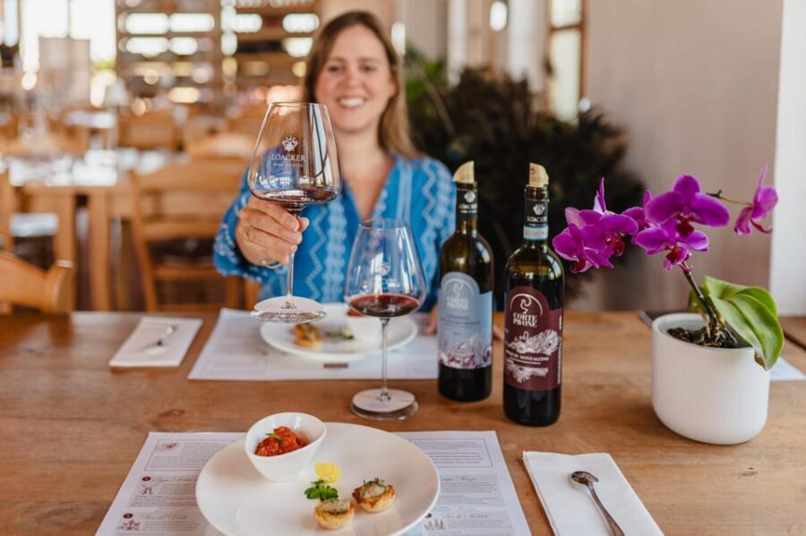 Montalcino: Winery Tour & Gourmet Brunello Vertical Tasting - Authentic Reviews and Feedback