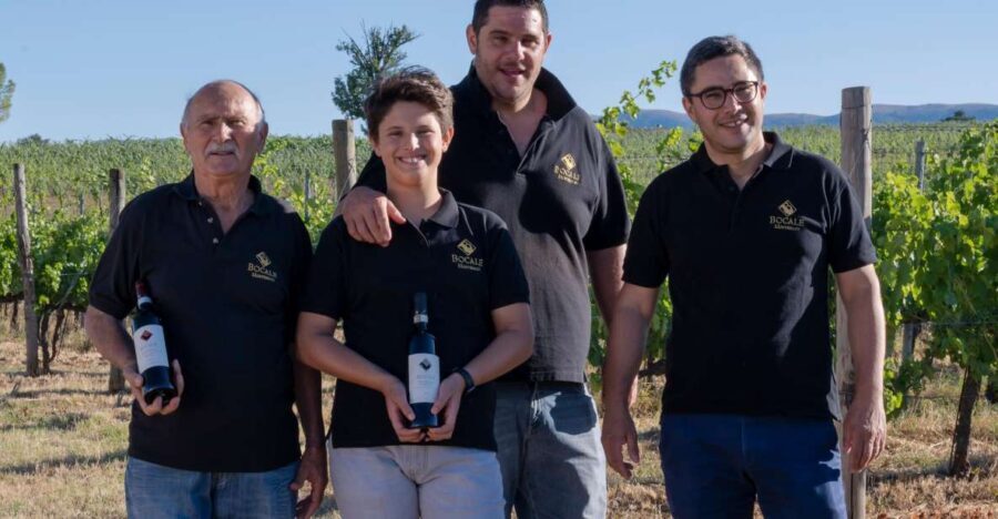 Montefalco: Winery and Vineyard Tour and Private Tasting - A Detailed Look at the Experience