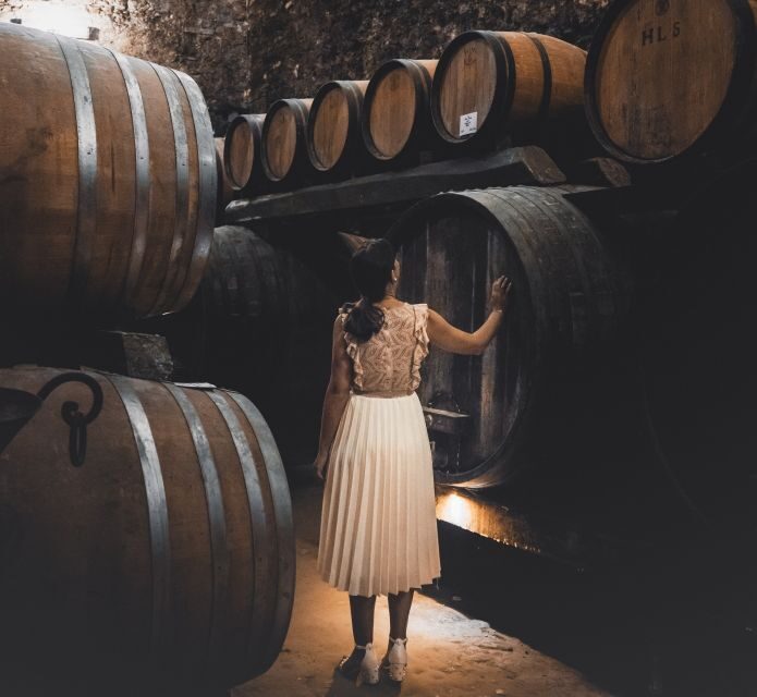 Montepulciano: Historical Cellars Guided Tour & Wine Tasting - A Deep Dive into the Experience
