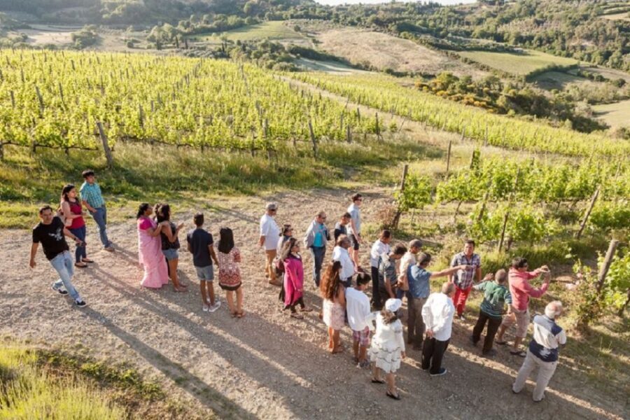 Montepulciano: Vino Nobile Wine Tour  Meet the Producers - Final Thoughts