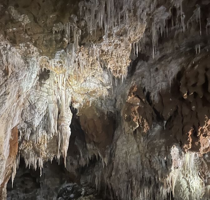 Montpellier:Half-Day Terrasses du Larzac Wine and grotto - Why This Tour Works Well for Travelers