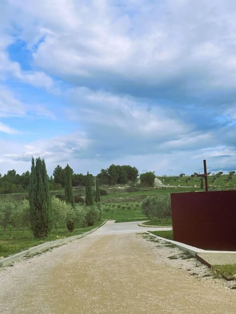 Montpellier:Journée Huile d'Olive, Vin, St Guilhem le Désert - A Day in the Heart of Occitanie: What to Expect