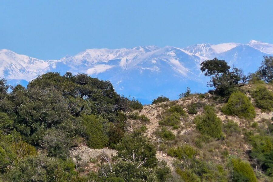 Montserrat: 6-Hour Tour with a Choice of 3 Levels of Hiking - Why This Tour Matters