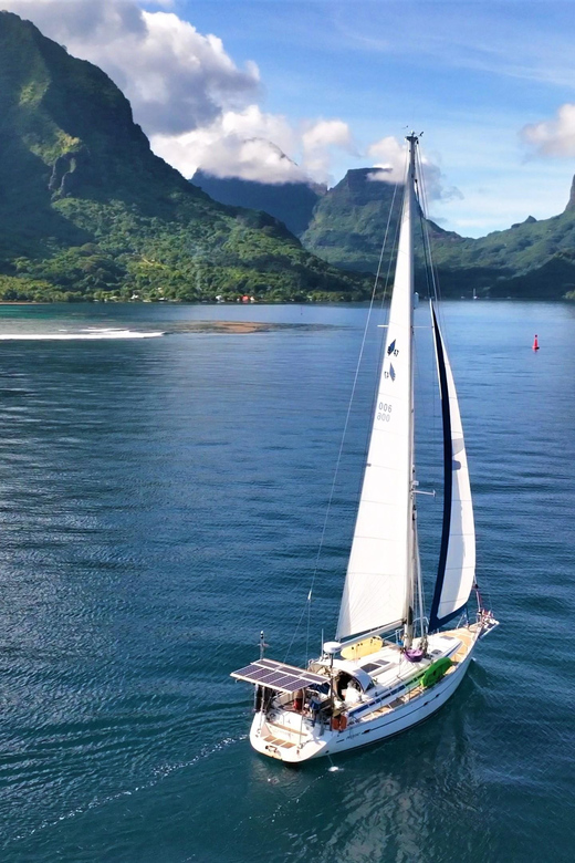 Moorea: Whale watching adventure - Key Points