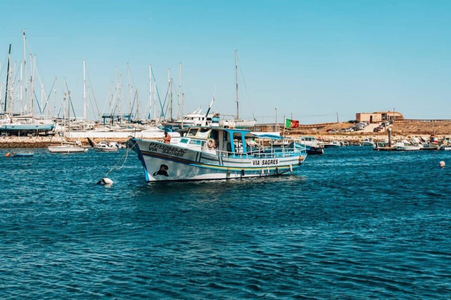 Morning Coastal Cruise - What to Expect: A Blend of Relaxation and Exploration